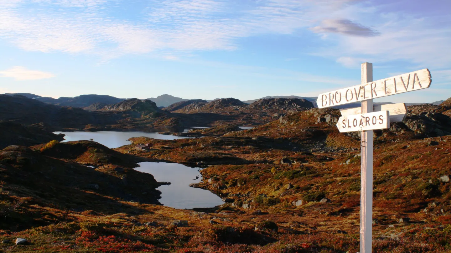 Kulturopplevelser i høyfjellet – 3 til 4 dager | Hovden.com