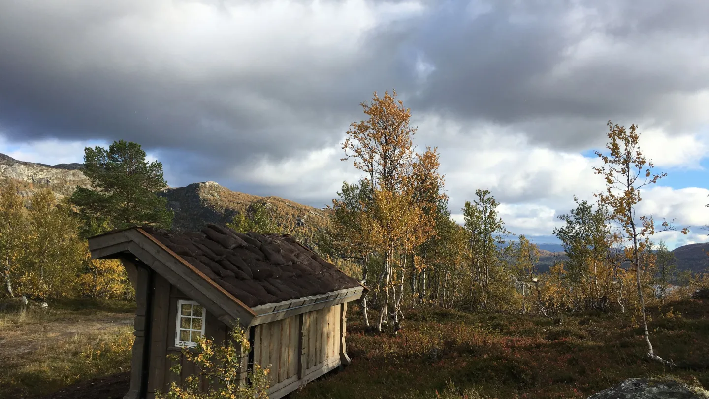 Gapahuk on Otroåsen | Hovden.com