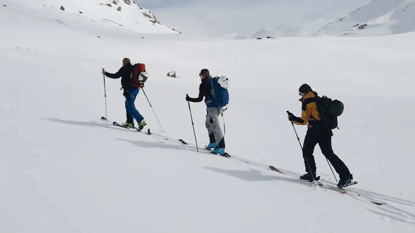 Avalanche package | Hovden.com